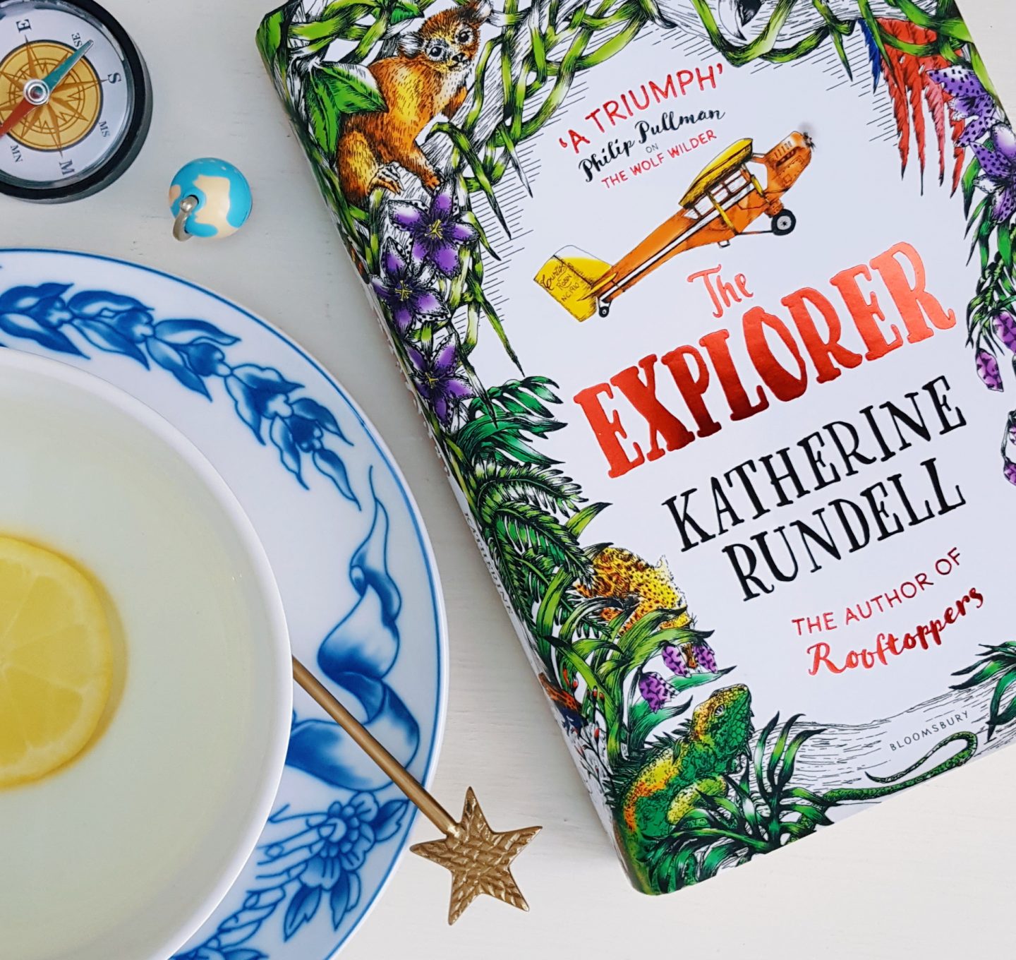 Children’s Book Review: The Explorer by Katherine Rundell - The Book ...