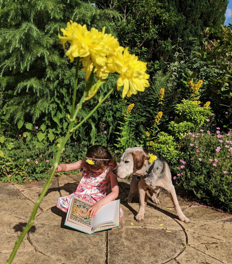 A Beginner’s Guide to Buddy Reading on Instagram - The Book Family Rogerson