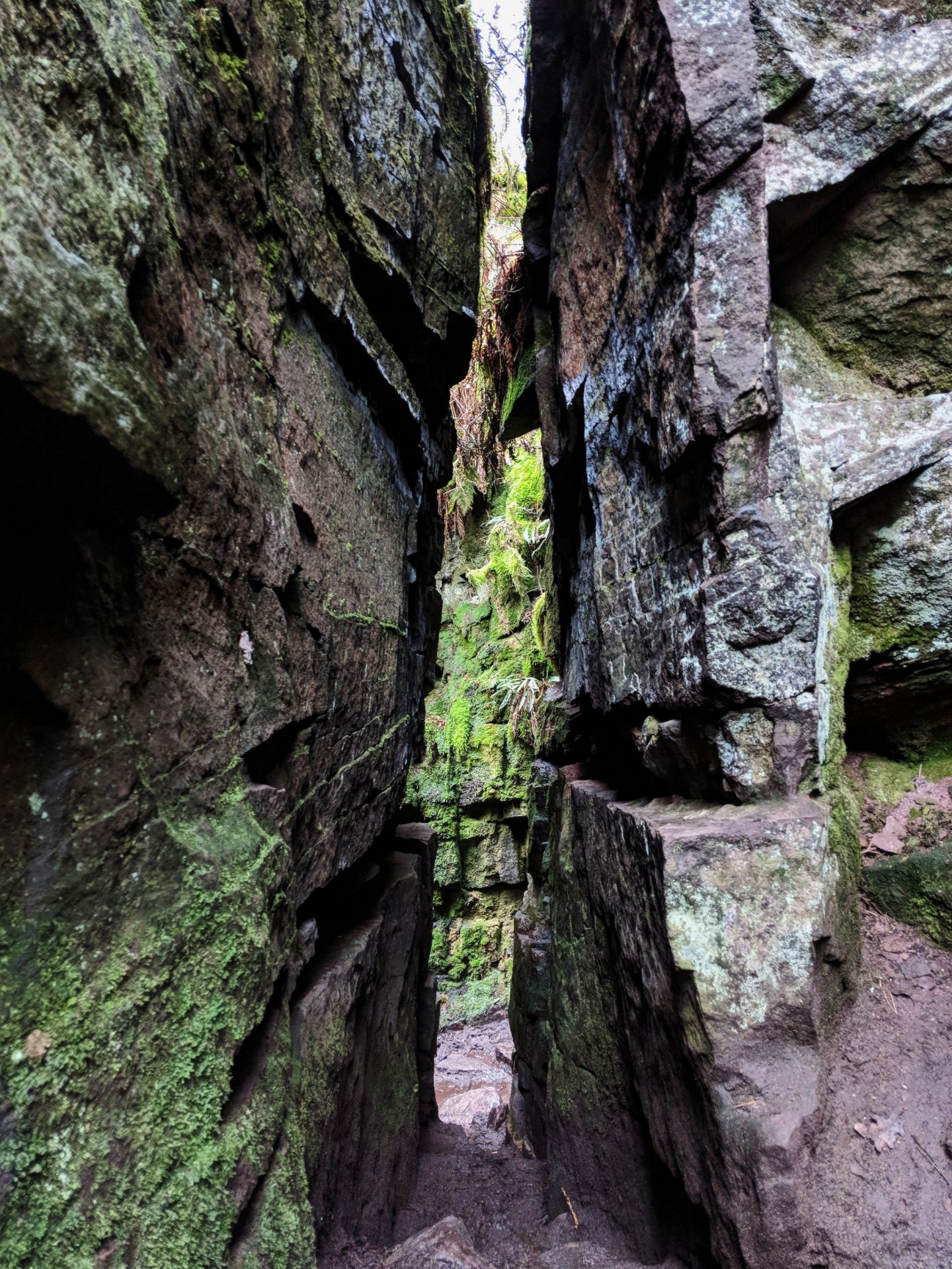 Lud’s Church Walk: A Peak District Secret - The Book Family Rogerson