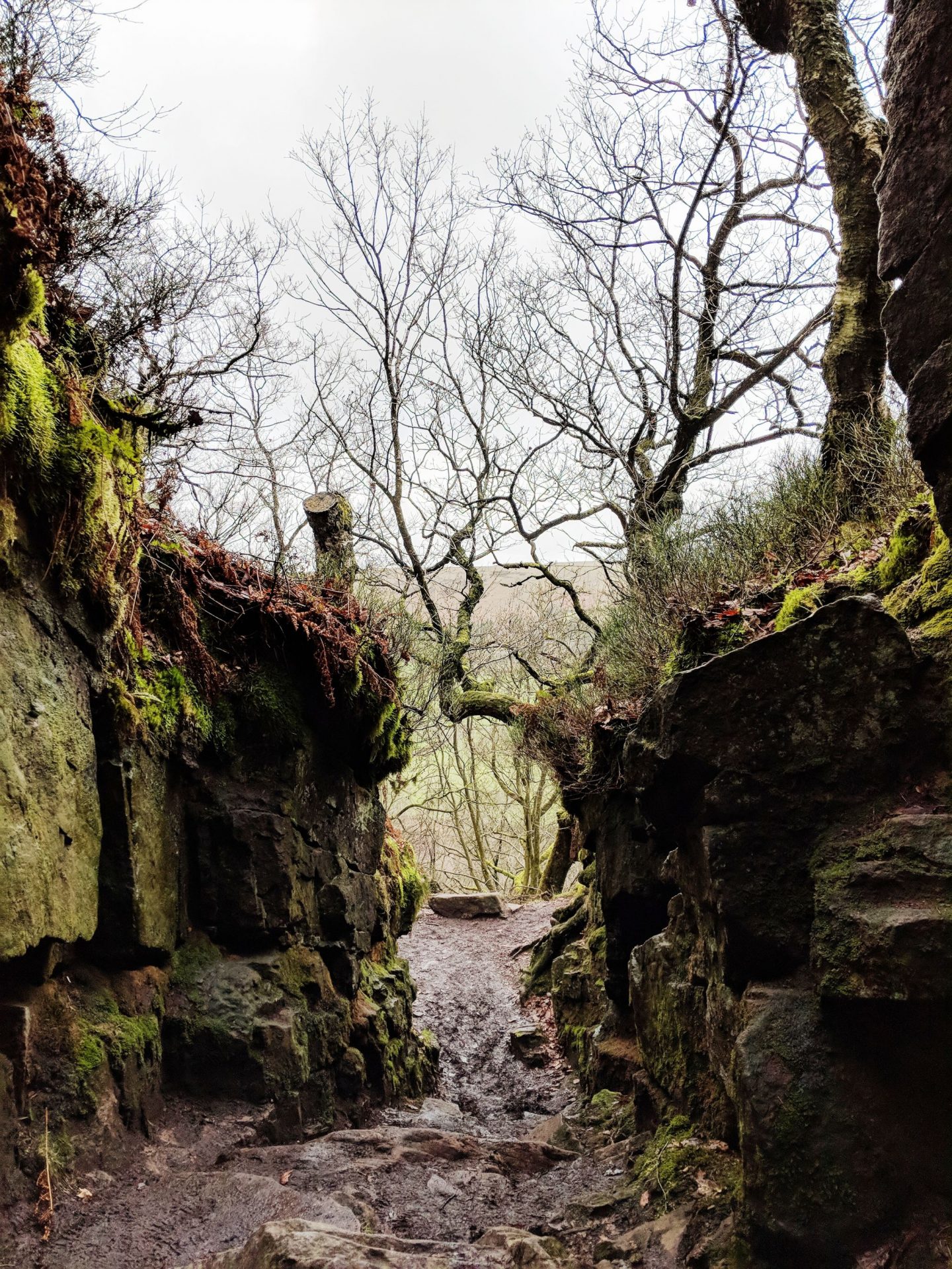 Lud’s Church Walk: A Peak District Secret - The Book Family Rogerson