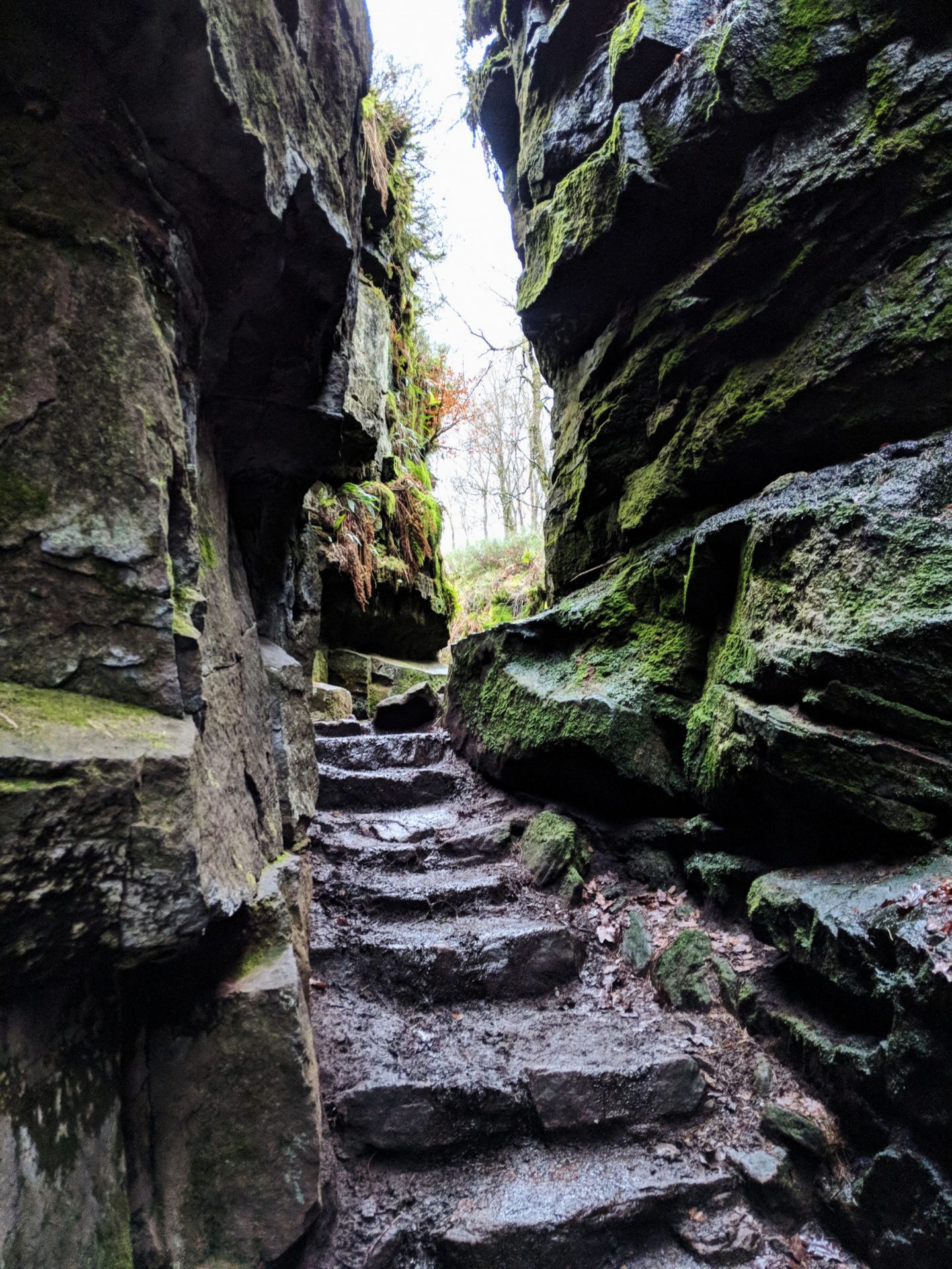 Lud’s Church Walk: A Peak District Secret - The Book Family Rogerson