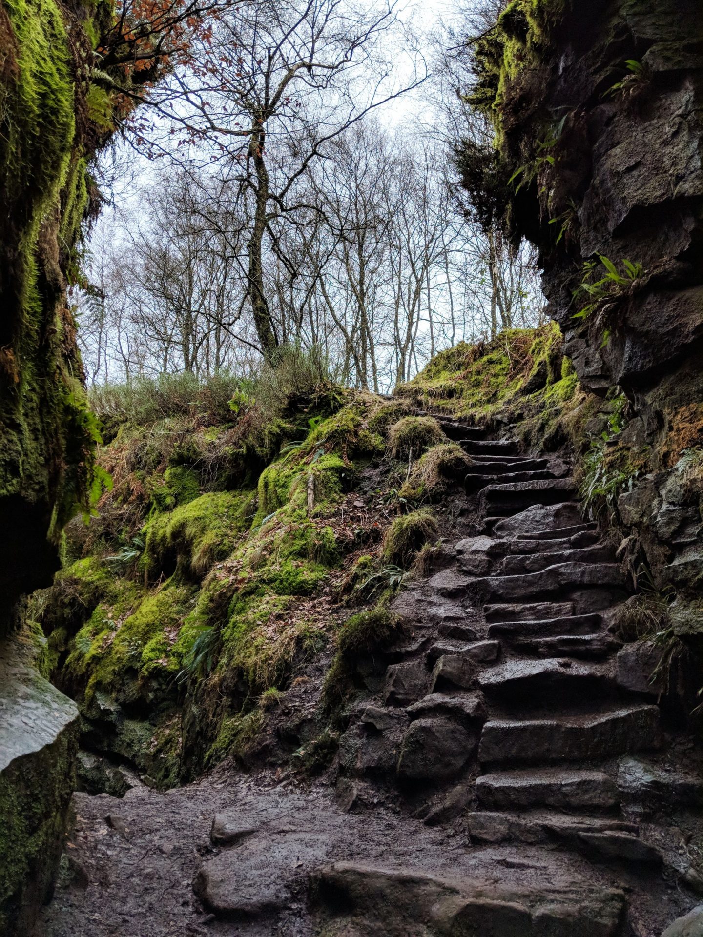 Lud’s Church Walk: A Peak District Secret - The Book Family Rogerson