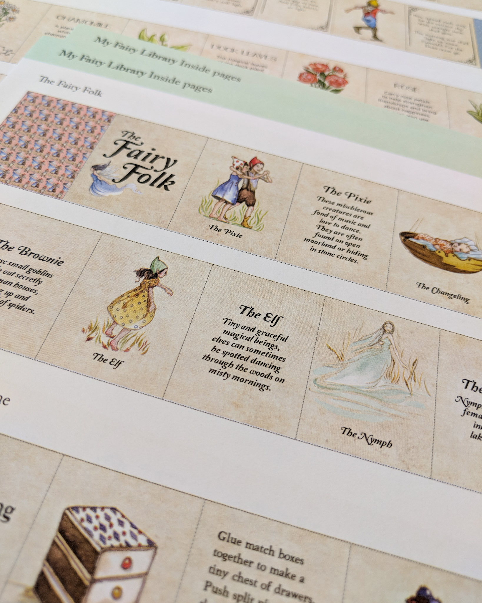 Children’s Book Review: My Fairy Library by Daniela Jaglenka Terrazzini ...